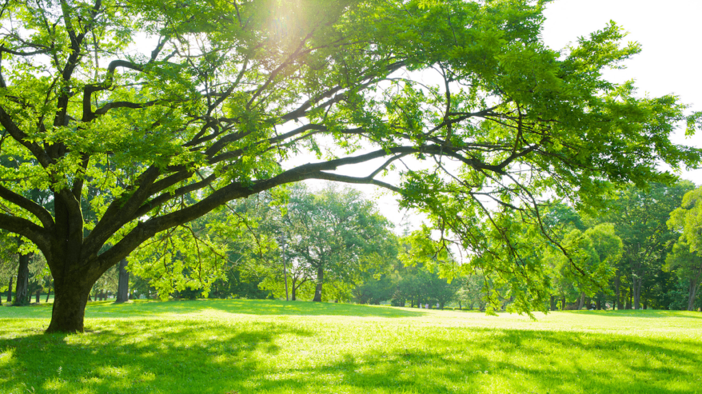 Staying Safe in Warm Weather - Family & Nursing Care